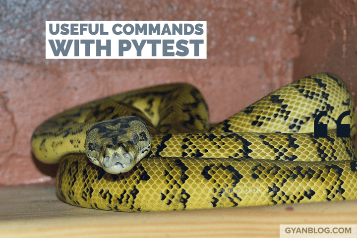 Python - Some useful Pytest Commands | GyanByte
